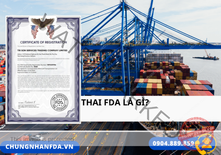 Thai FDA Là Gì? Tìm Hiểu Quy Định FDA Khi Xuất Khẩu Vào Thị Trường Hoa Kỳ