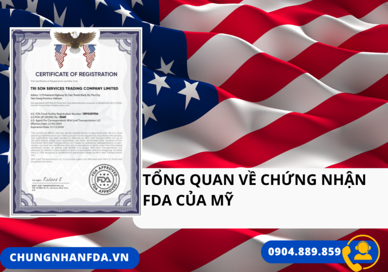 Chứng Nhận FDA Của Mỹ: Hướng Dẫn Cho Doanh Nghiệp Việt Nam