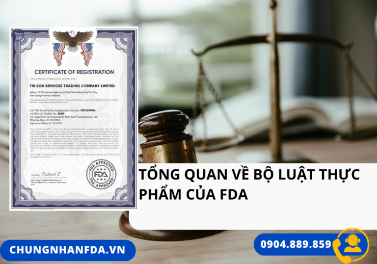 Bộ Luật Thực Phẩm của FDA: Quy Định & Yêu Cầu Doanh Nghiệp Cần Biết