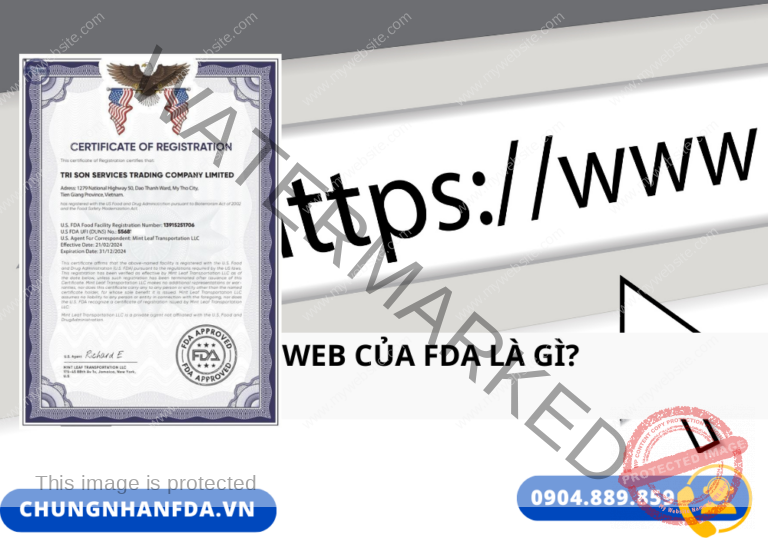 Web của FDA: Hướng Dẫn Truy Cập và Khai Thác Thông Tin Hiệu Quả